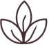 Collections – True Organic